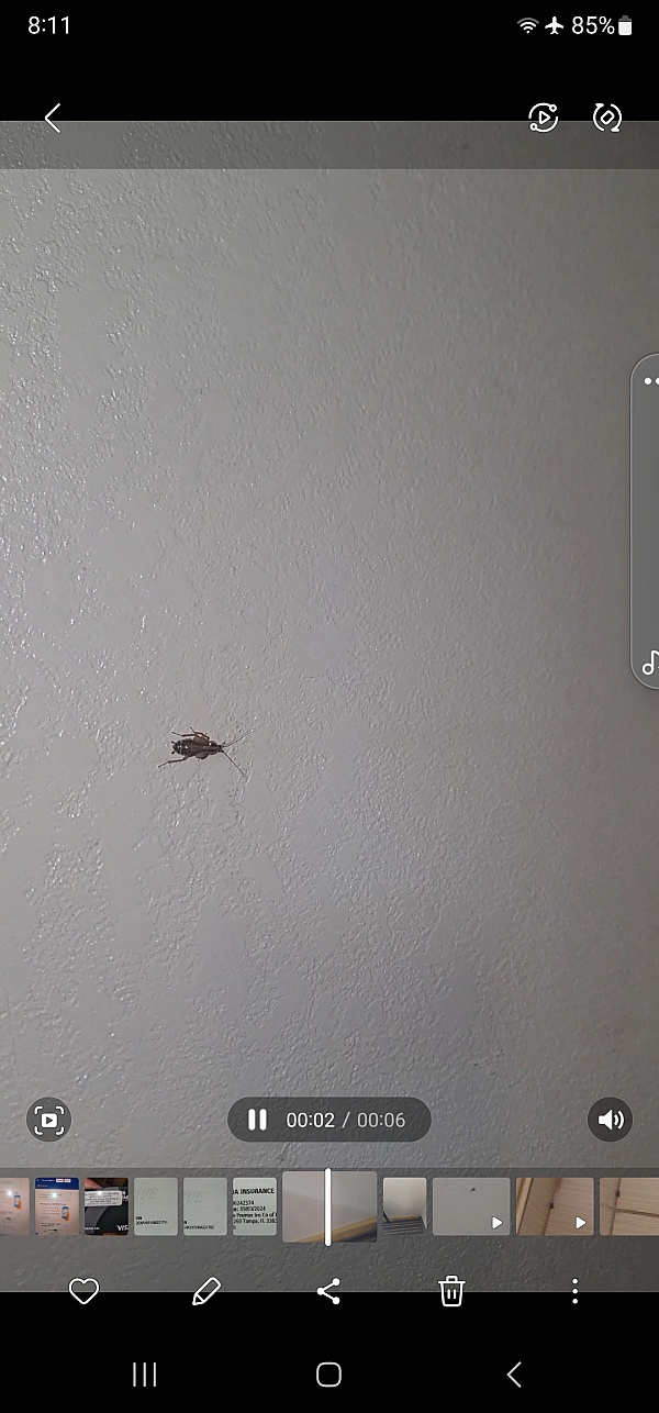 Super.com Reviews - 2,153 Reviews of Super.com | Sitejabber