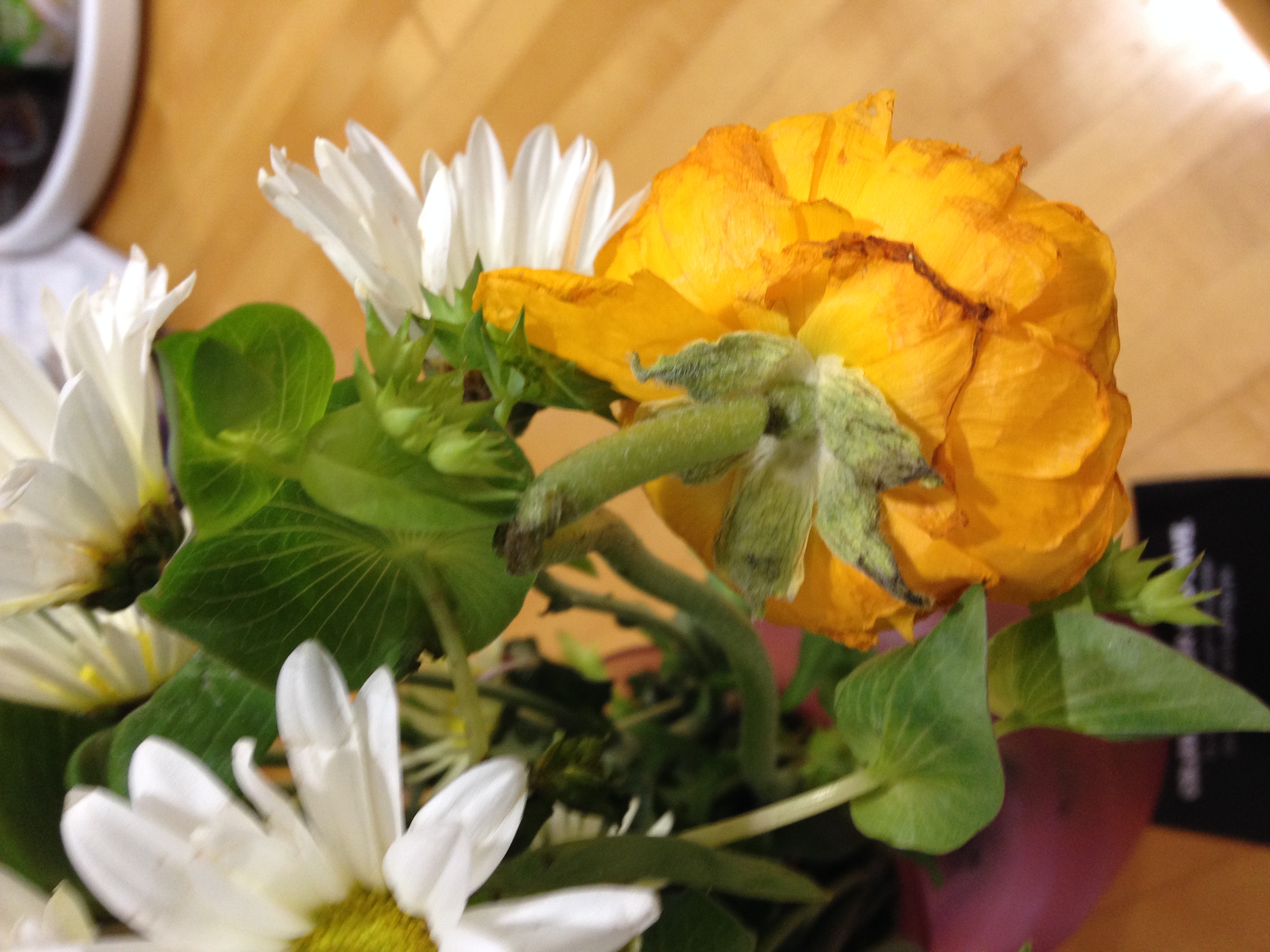 FTD Reviews - 47 Reviews of Ftd.com | Sitejabber