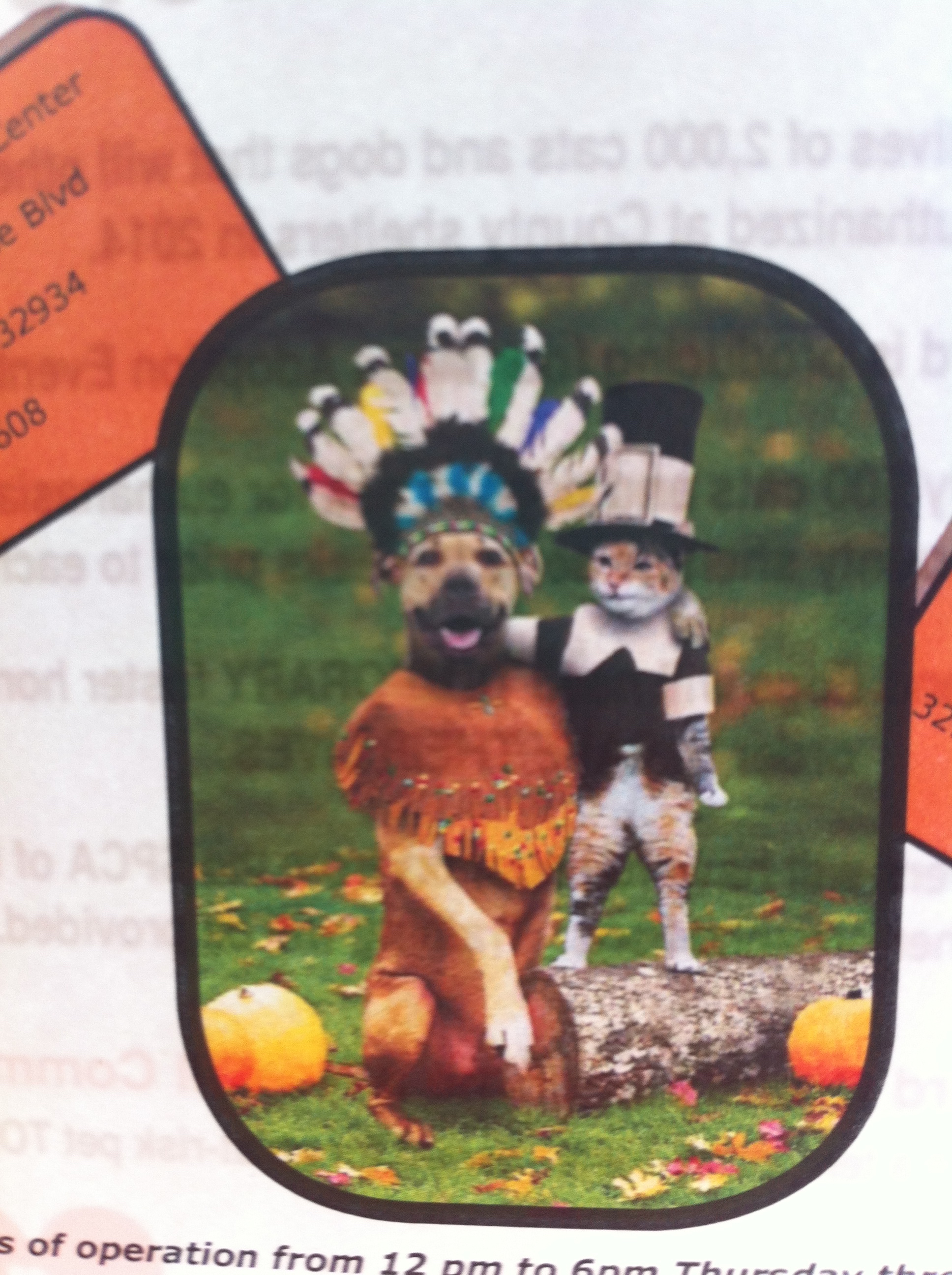 SmileBox Reviews - 2,228 Reviews of Smilebox.com | Sitejabber