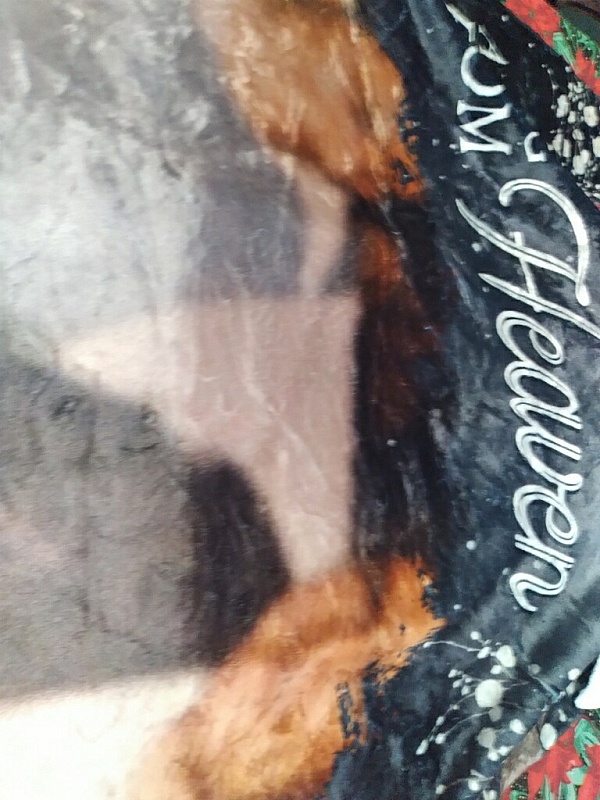 Macorner Reviews - 44 Reviews of Macorner.co | Sitejabber