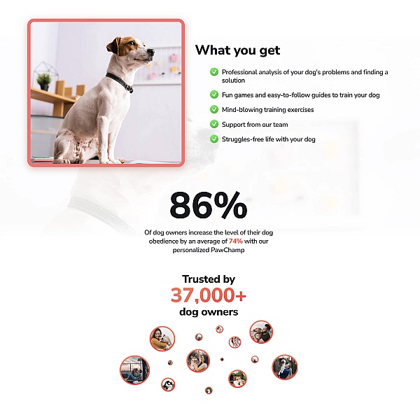 Paw-champ Reviews - 39 Reviews of Paw-champ.com | Sitejabber