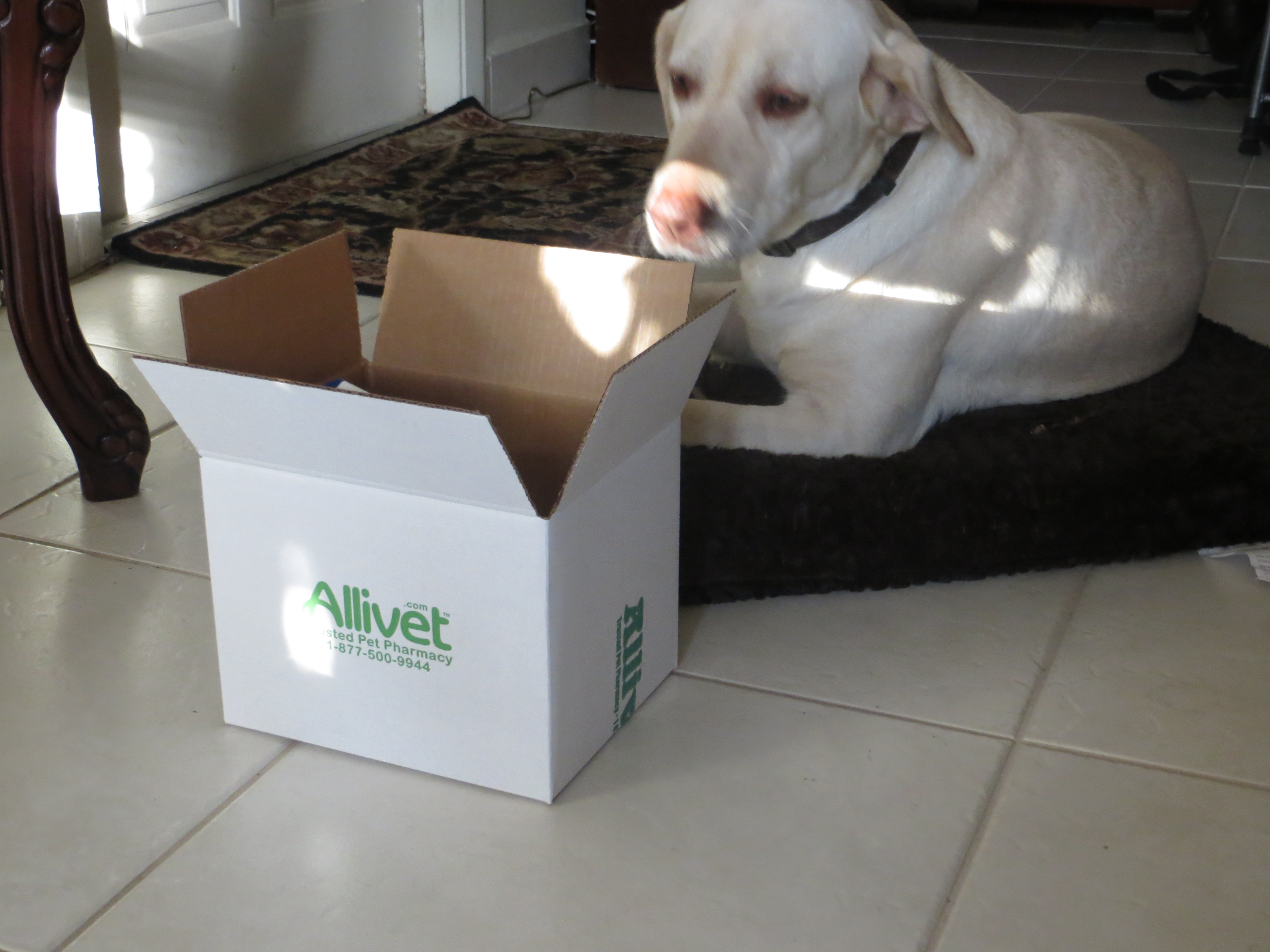 Allivet Reviews - 3,933 Reviews of Allivet.com | Sitejabber