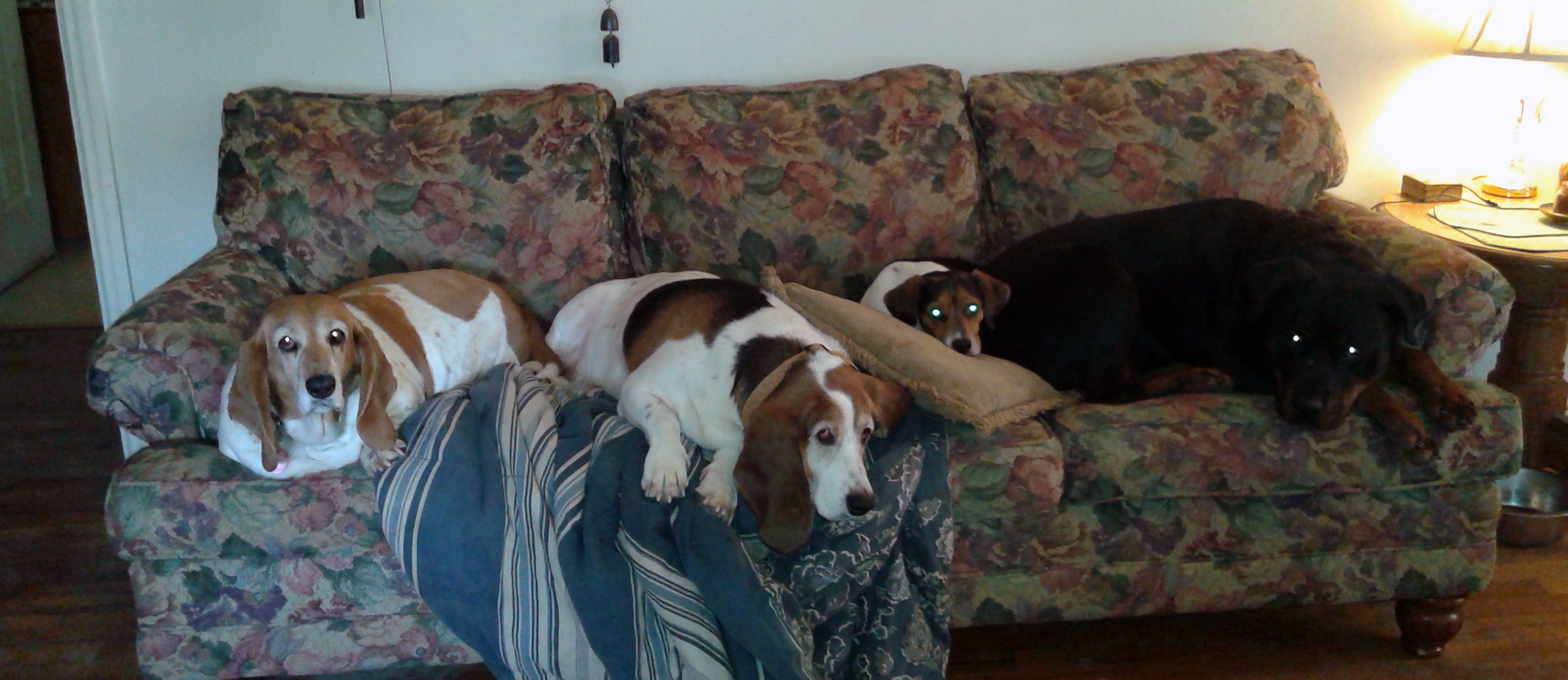 JustAnswer Reviews - 2,042 Reviews of Justanswer.com | Sitejabber