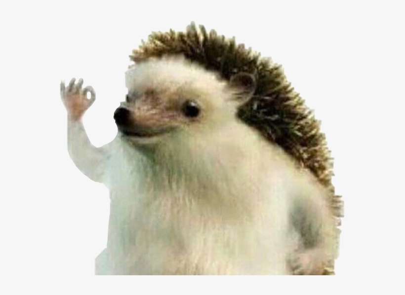 ALEKS Reviews - 985 Reviews of Aleks.com | Sitejabber