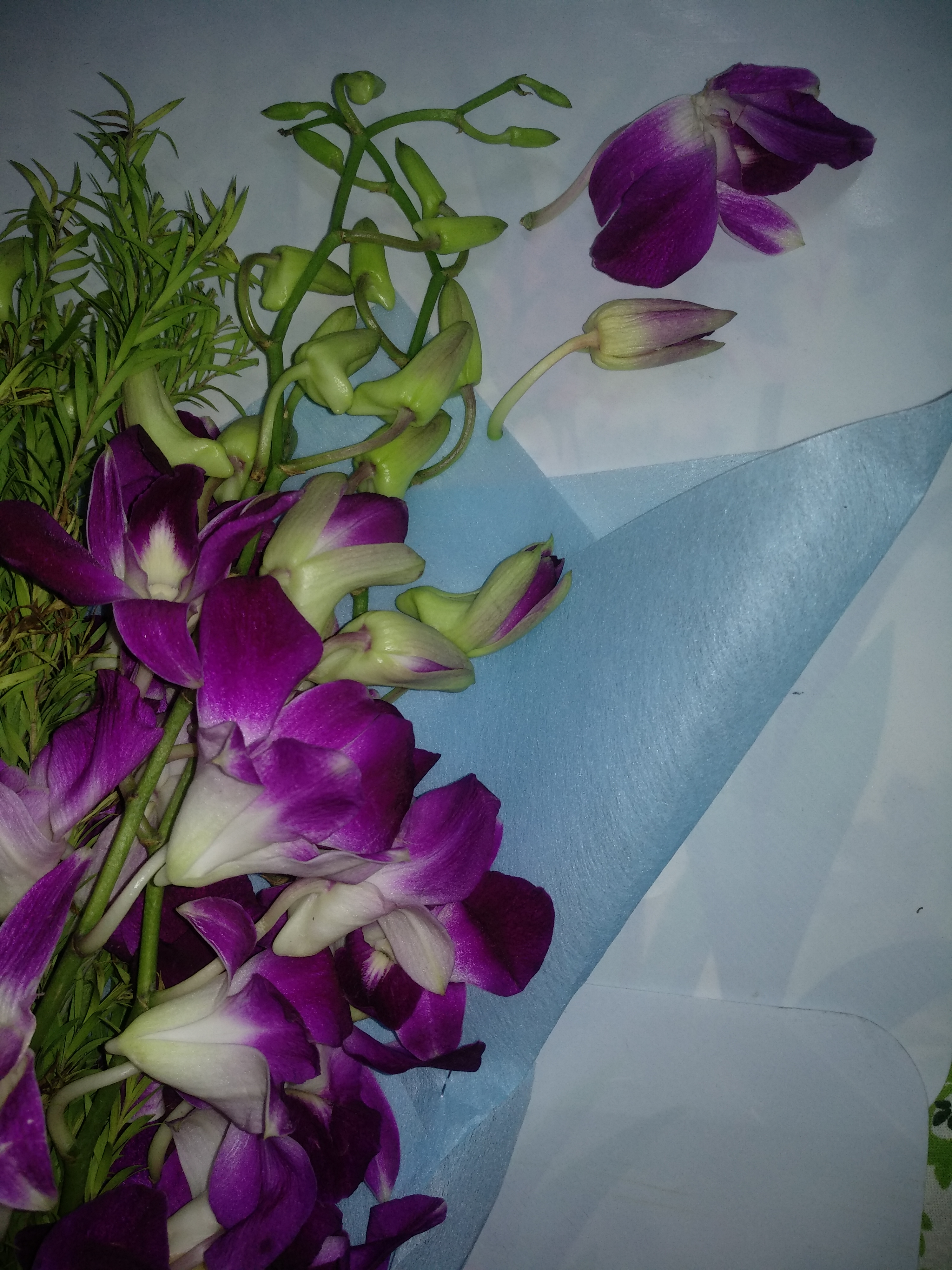 Ferns N Petals (FNP) Reviews - 650 Reviews of Fnp.com | Sitejabber