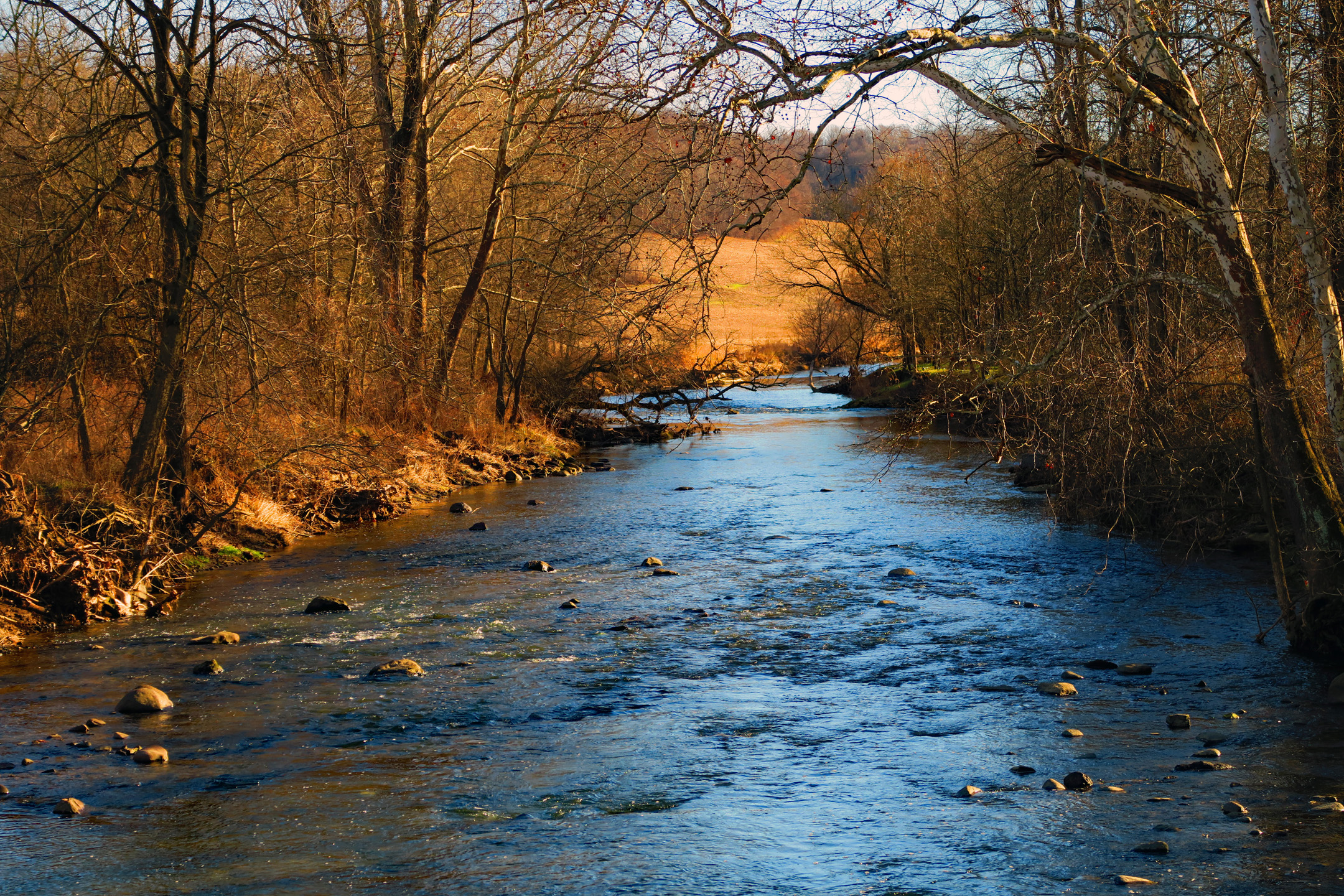 CanvasDiscount Reviews - 1,161 Reviews of Canvasdiscount.com | Sitejabber