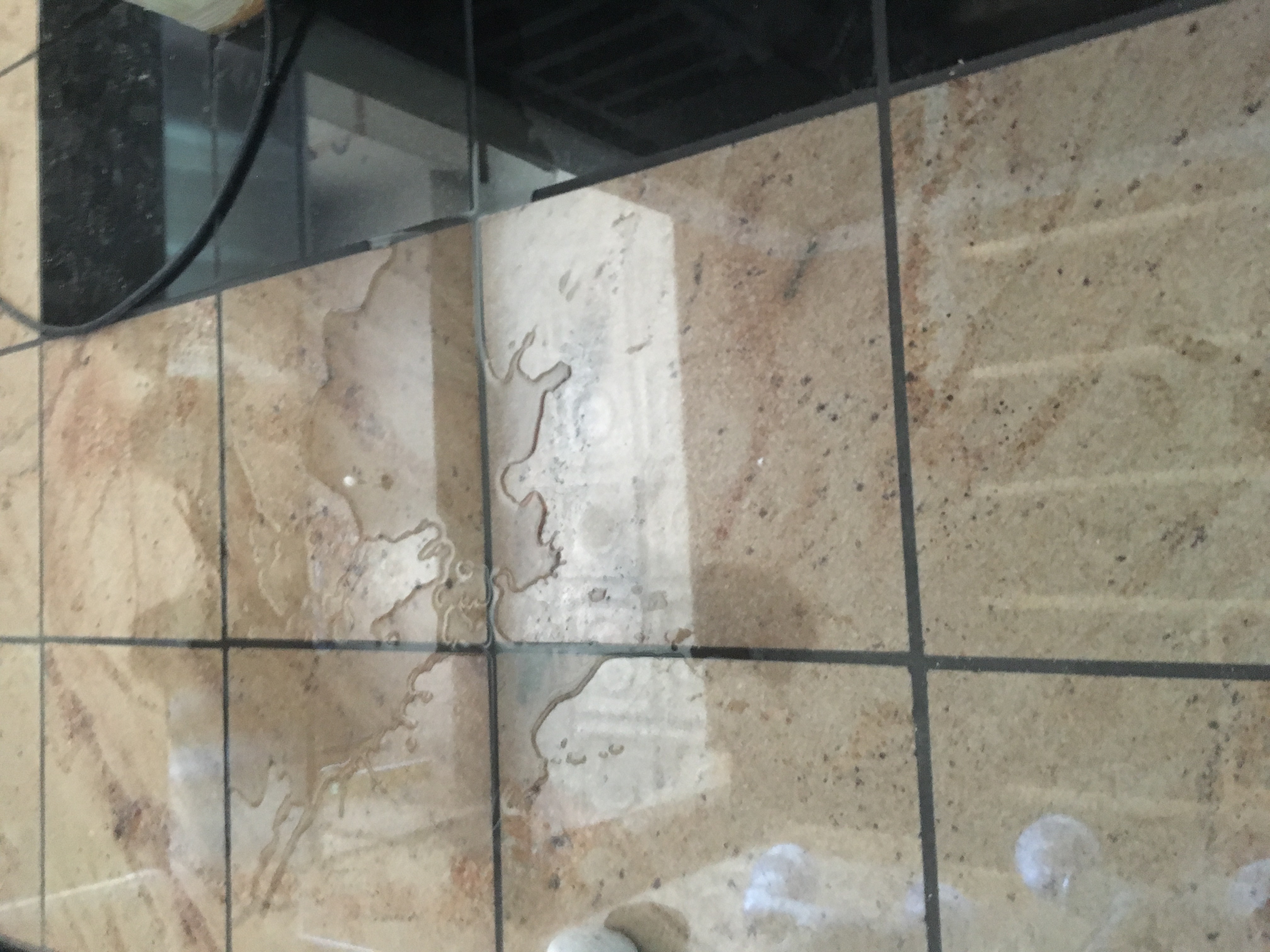 WebstaurantStore Reviews - 360 Reviews of Webstaurantstore.com | Sitejabber